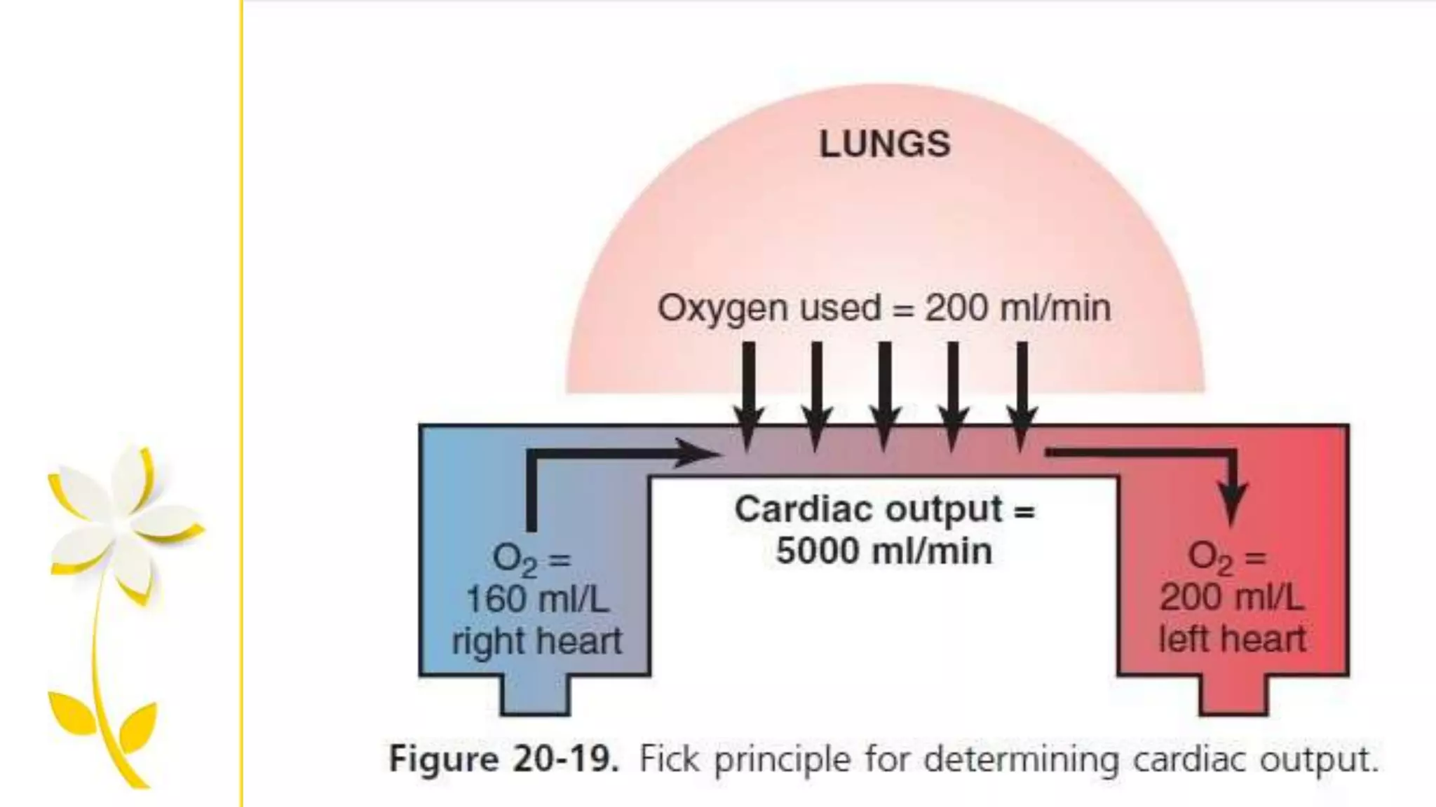 Cardiac Output Monitoring Pptx