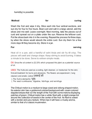 FOOT KAKDI / KACHRA / KACHRI (Cucumis melo / Cucumis Callosus ...