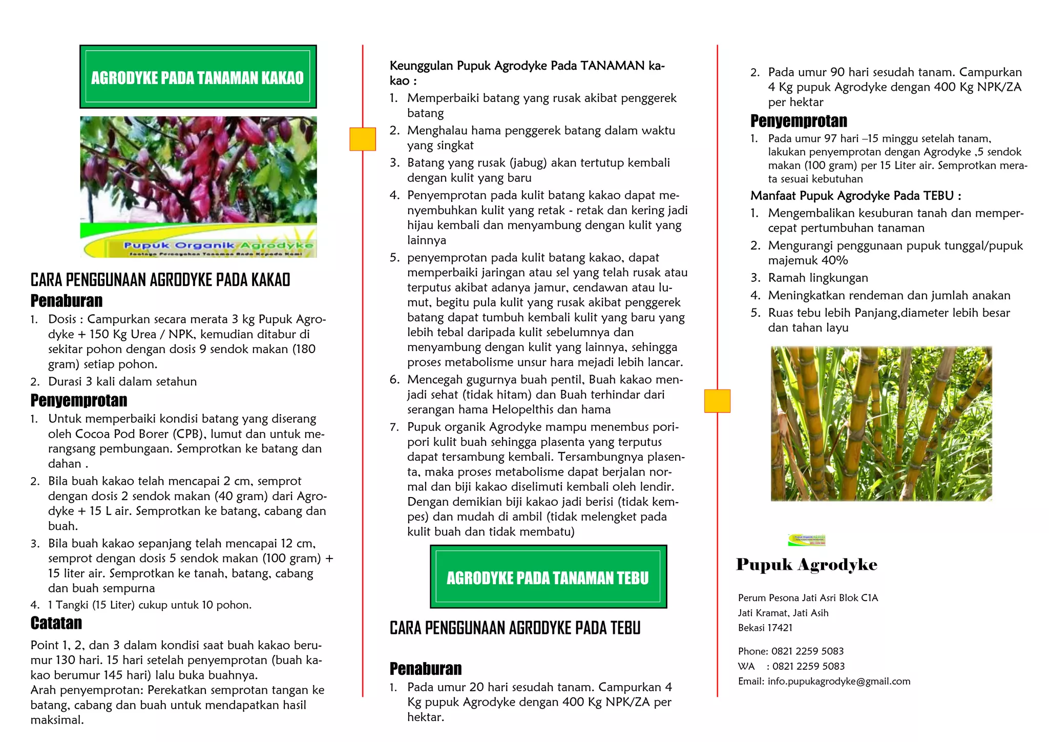 Brosur Cara Pemupukan Kakao dan tebu dengan AGRODYKE | PDF