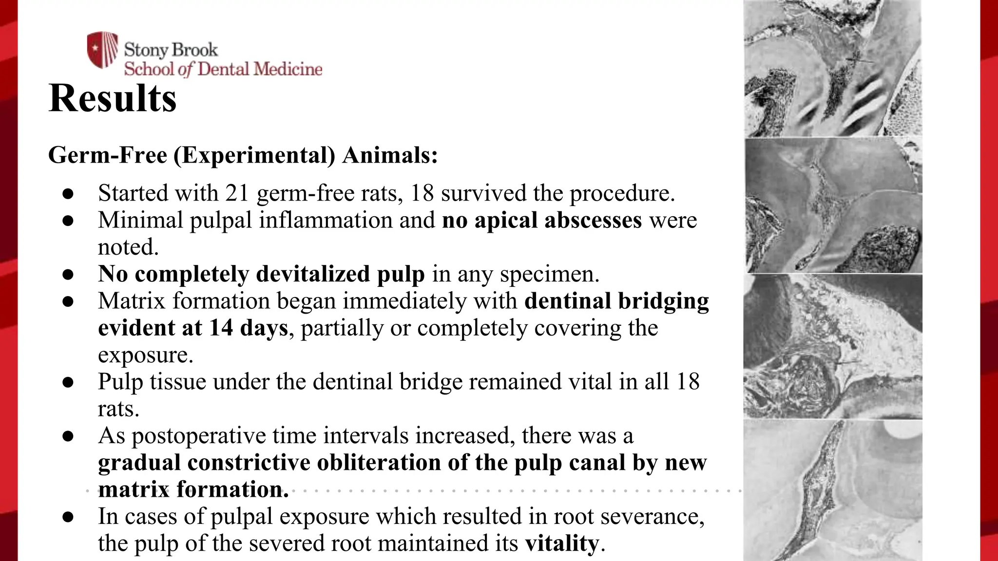 Kakehashi_Endodontic_Presentation12.pptx
