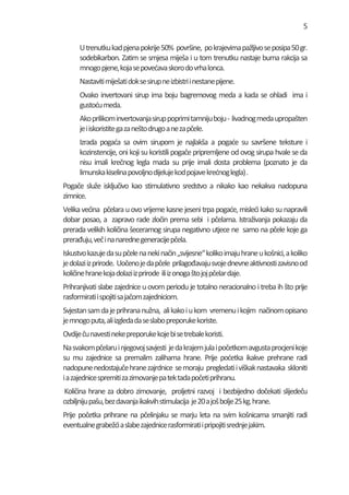 Kako da-pomognemo-pcelama-u-rano-prolece | PDF