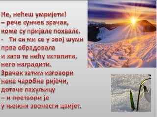 Kako je procvjetala prva visibaba - Šimo Ešić, Biljana Joksimović | PPTX