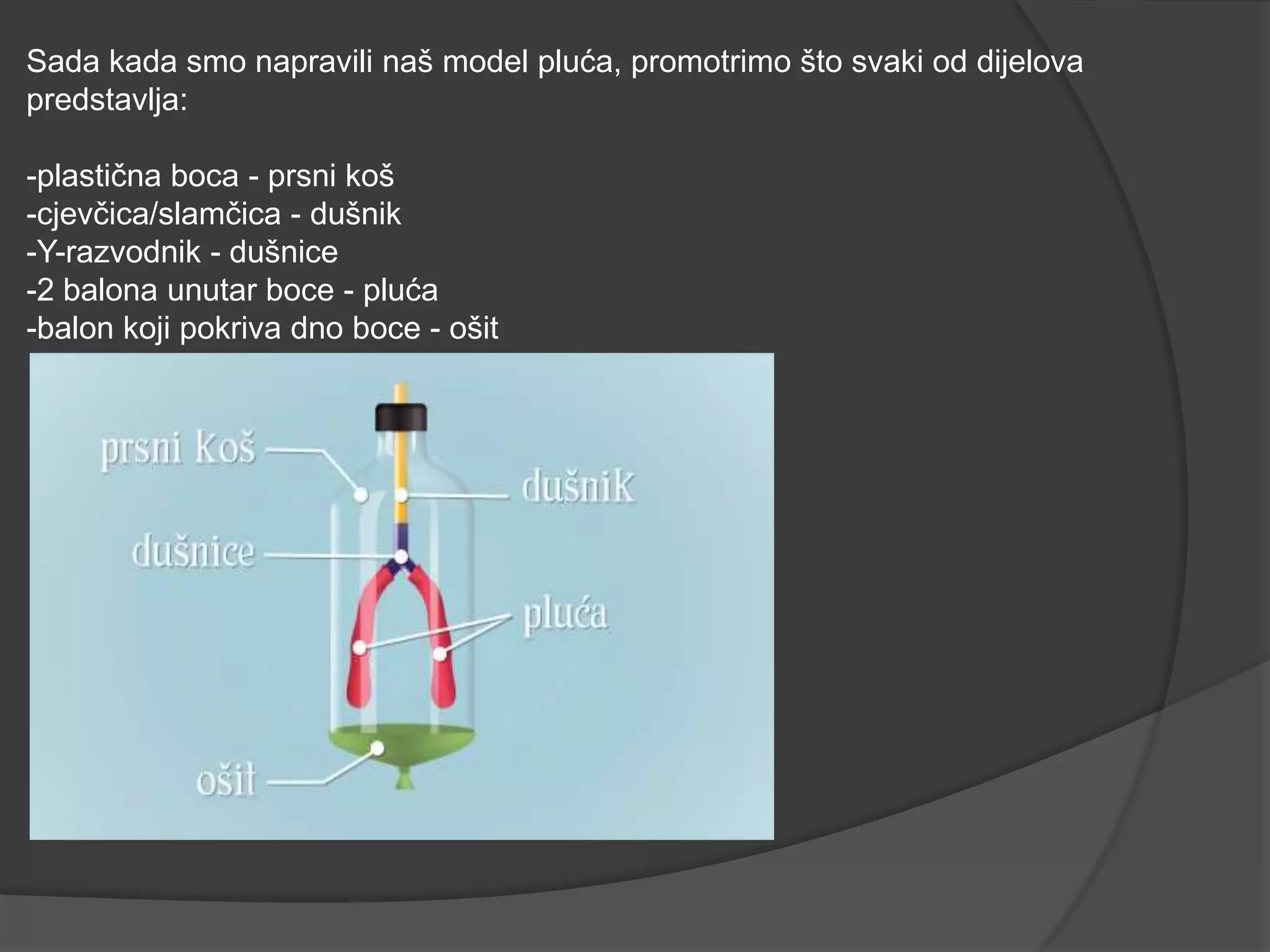 Kako napraviti model pluća | PPSX