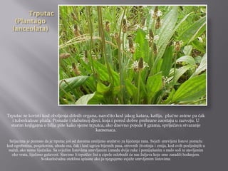 Kako_su_se_lijecili_nasi_stari.pdf