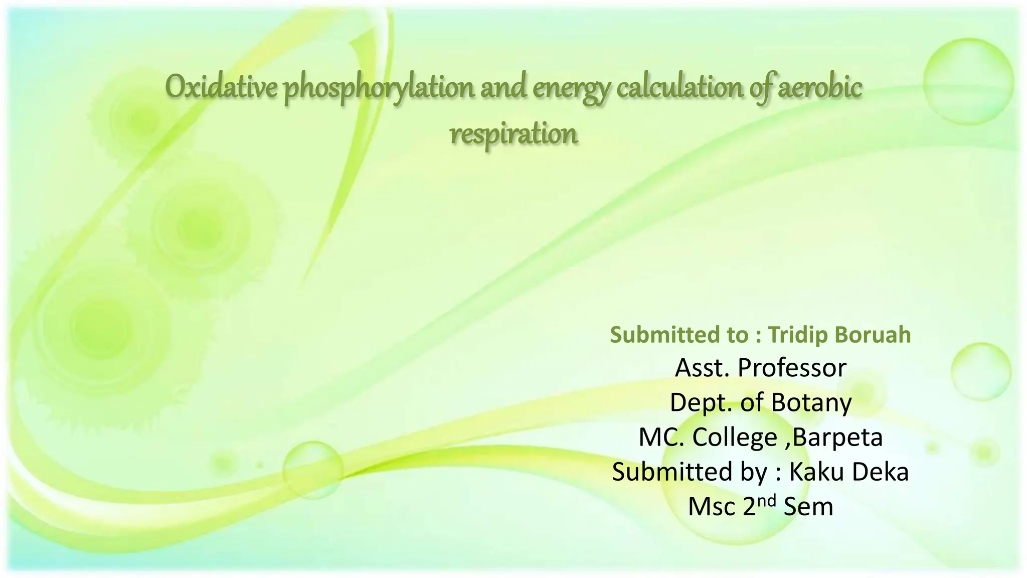 Oxidative phosphorylation and energy calculation of aerobic respiration ...