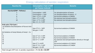 Oxidative phosphorylation and energy calculation of aerobic respiration ...