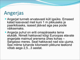 Kalad | PPT