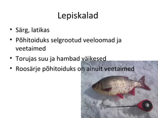 Kalade tunnused | PPT