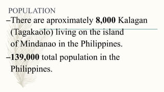 Kalagan ethnic group of the Philippines | PPTX