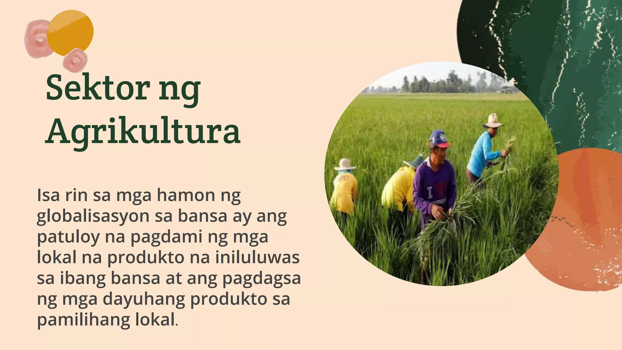 KALAGAYAN NG MGA MANG GAGAWA SA IBAT IBANG SEKTOR.pptx