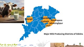 Commodity Market of Agri-product of Odisha &India | PDF