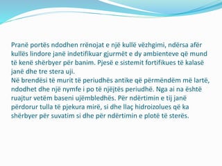 Kalaja e petreles | PPTX