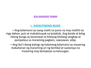 KALAMANSI FARM.pptx