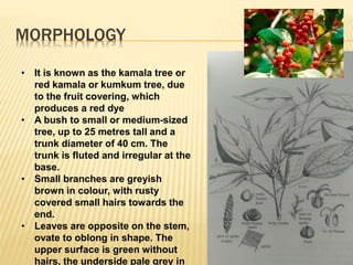Kalamegha kampillaka- kanchanara | PPTX