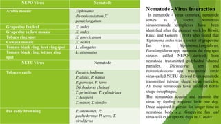 INTERACTION OF NEMATODES WITH OTHER ORGANISM. | PPTX