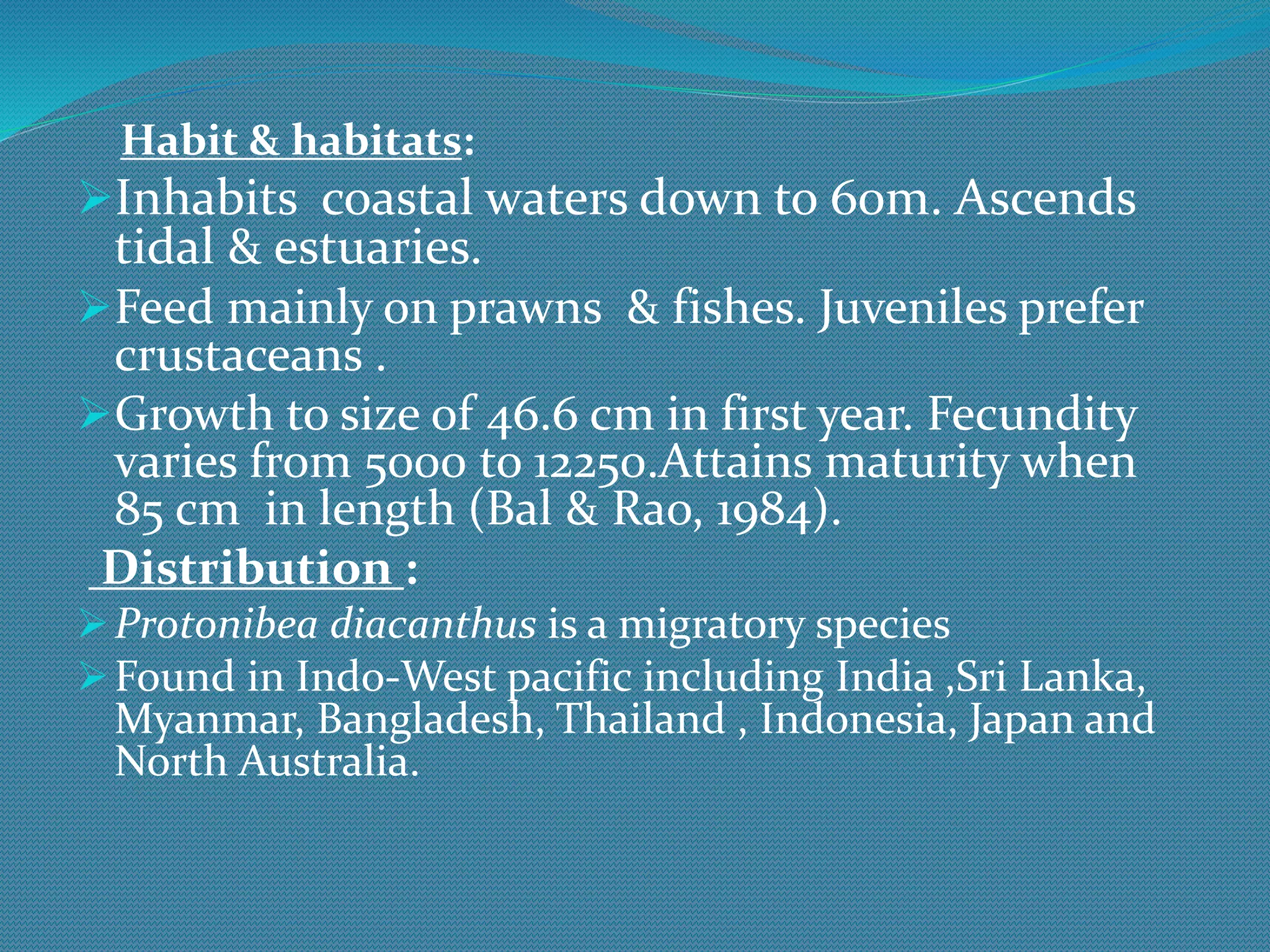 Kala poa (protonibea diacanthus) | PPT