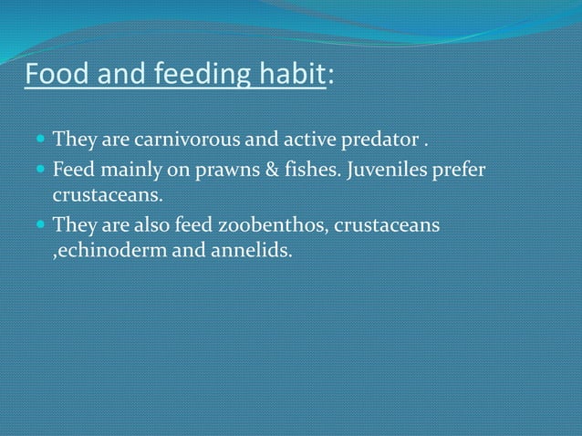 Kala poa (protonibea diacanthus) | PPT