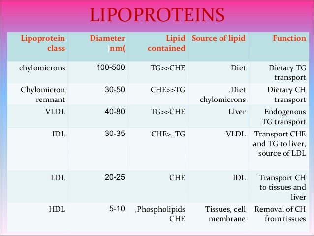 Lipid Lowering Medications