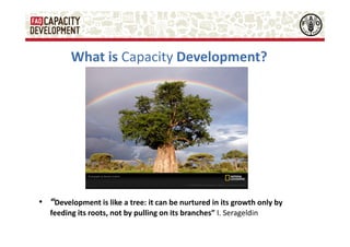Capacity Development for Enhanced Sustainability and Impact | PDF