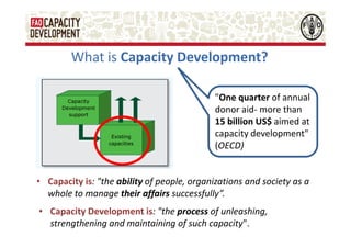 Capacity Development for Enhanced Sustainability and Impact | PDF