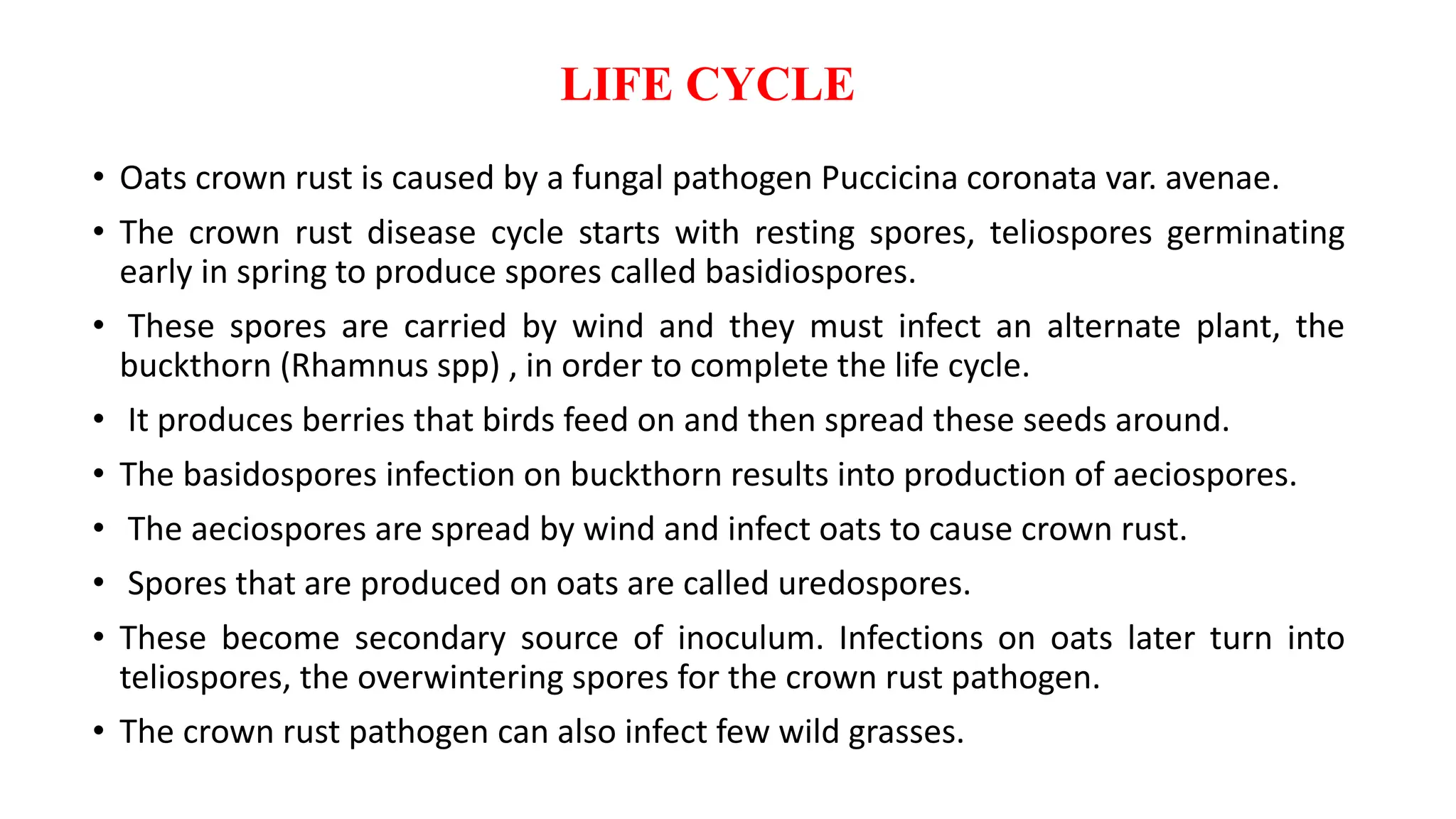 RUST AND SMUT OF OATS 48.pptx