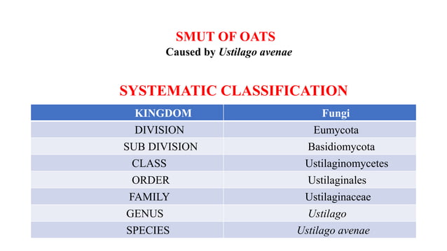 RUST AND SMUT OF OATS 48.pptx