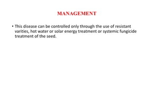 RUST AND SMUT OF OATS 48.pptx