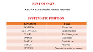 RUST AND SMUT OF OATS 48.pptx