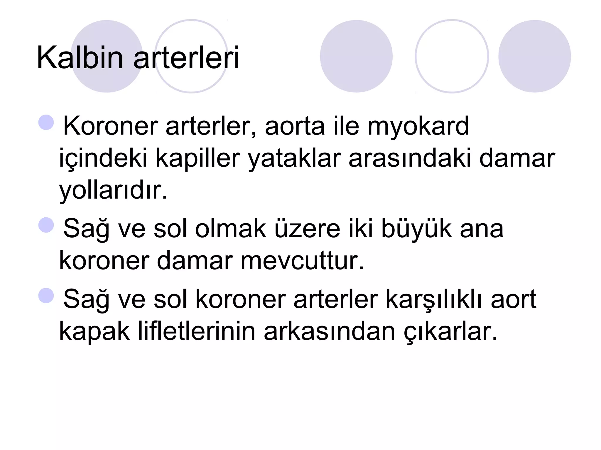 Kalbin anatomisi | PPT