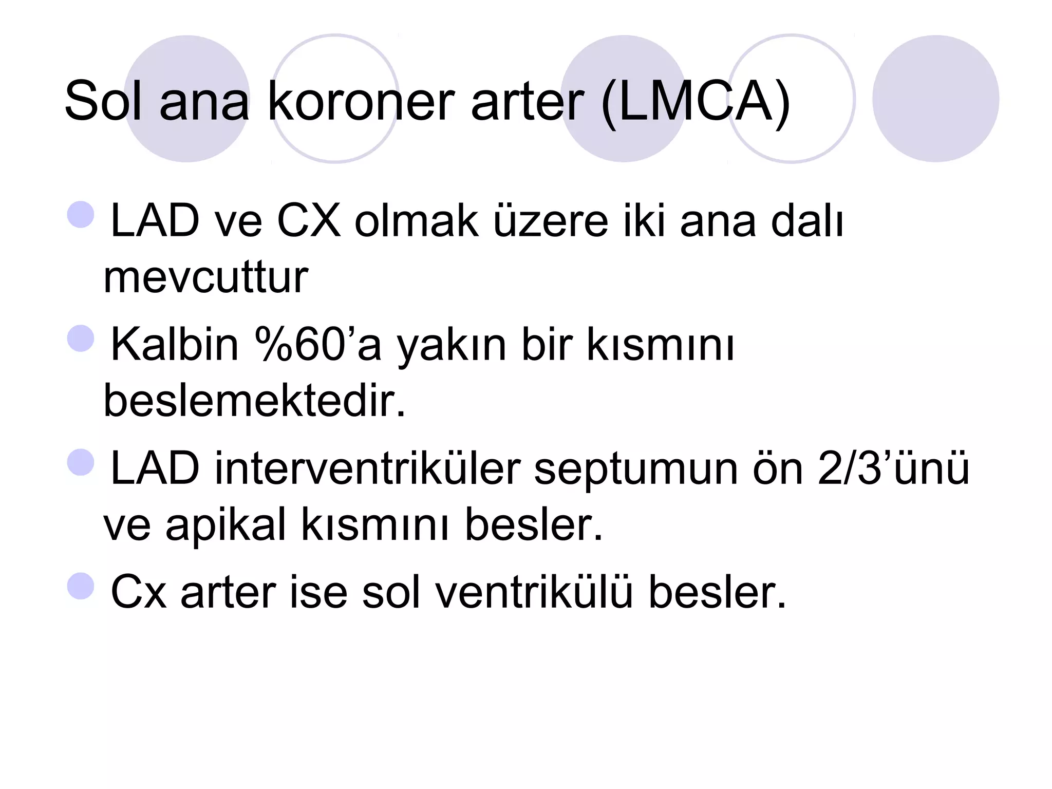 Kalbin anatomisi | PPT