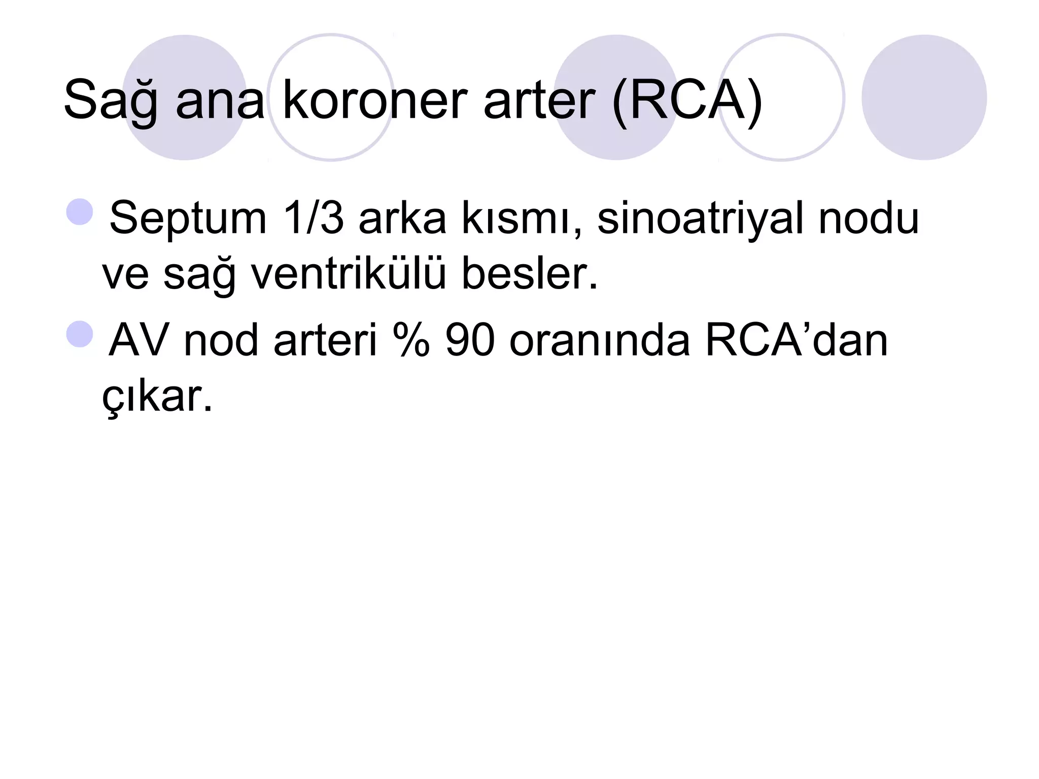 Kalbin anatomisi | PPT