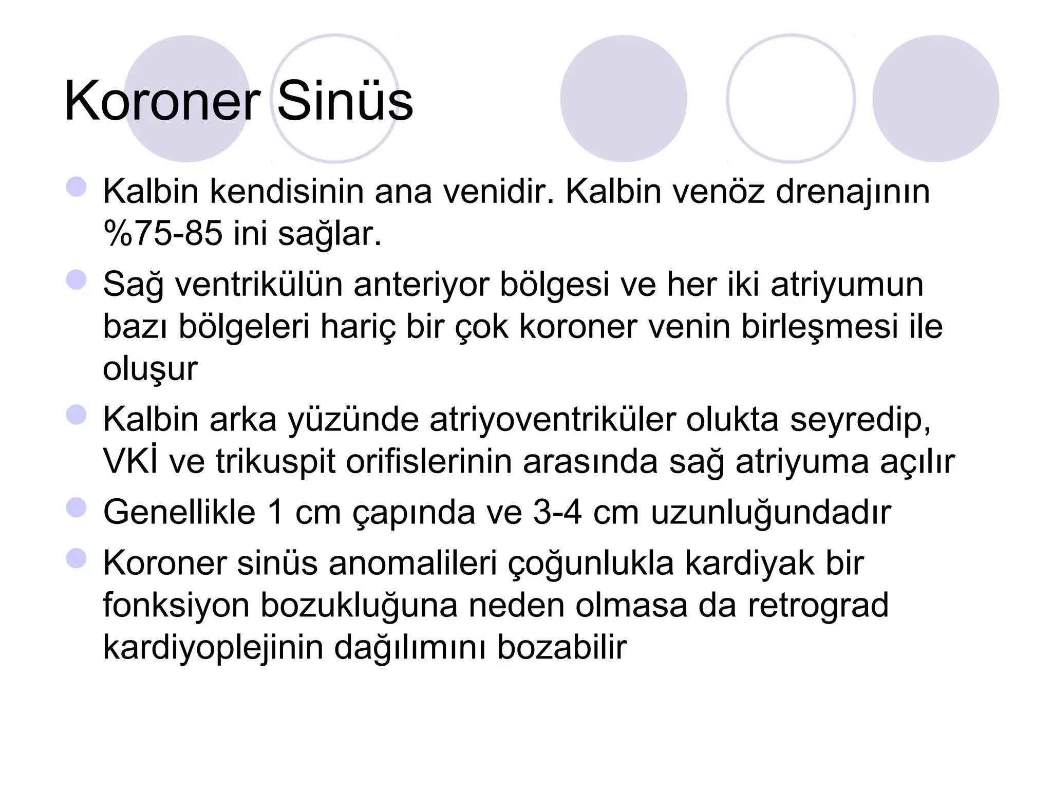 Kalbin anatomisi | PPT