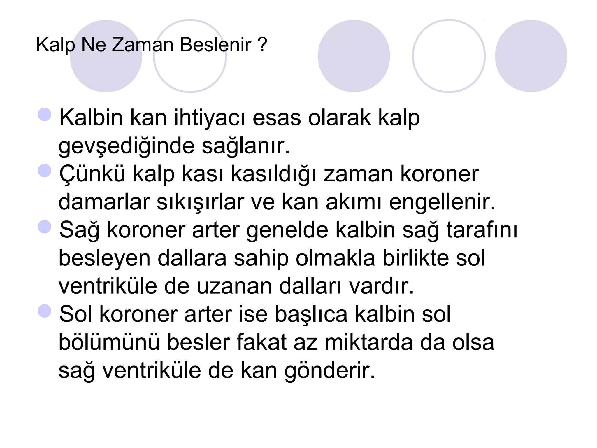 Kalbin anatomisi | PPT