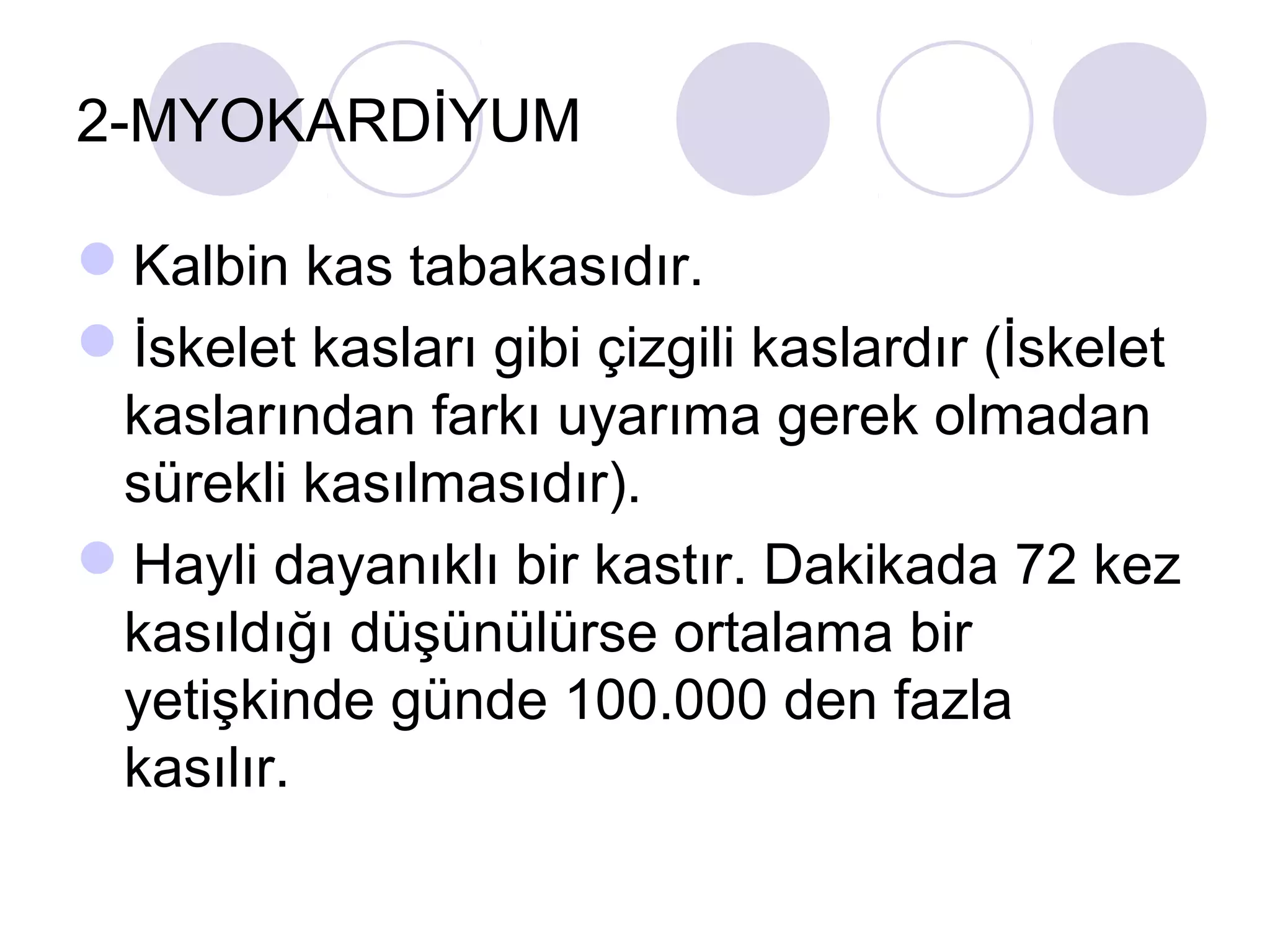 Kalbin anatomisi | PPT