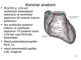 Kalbin cerrahi anatomisi dr. yuksel atay | PPT