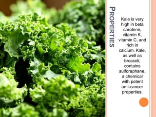 Kale | PPT