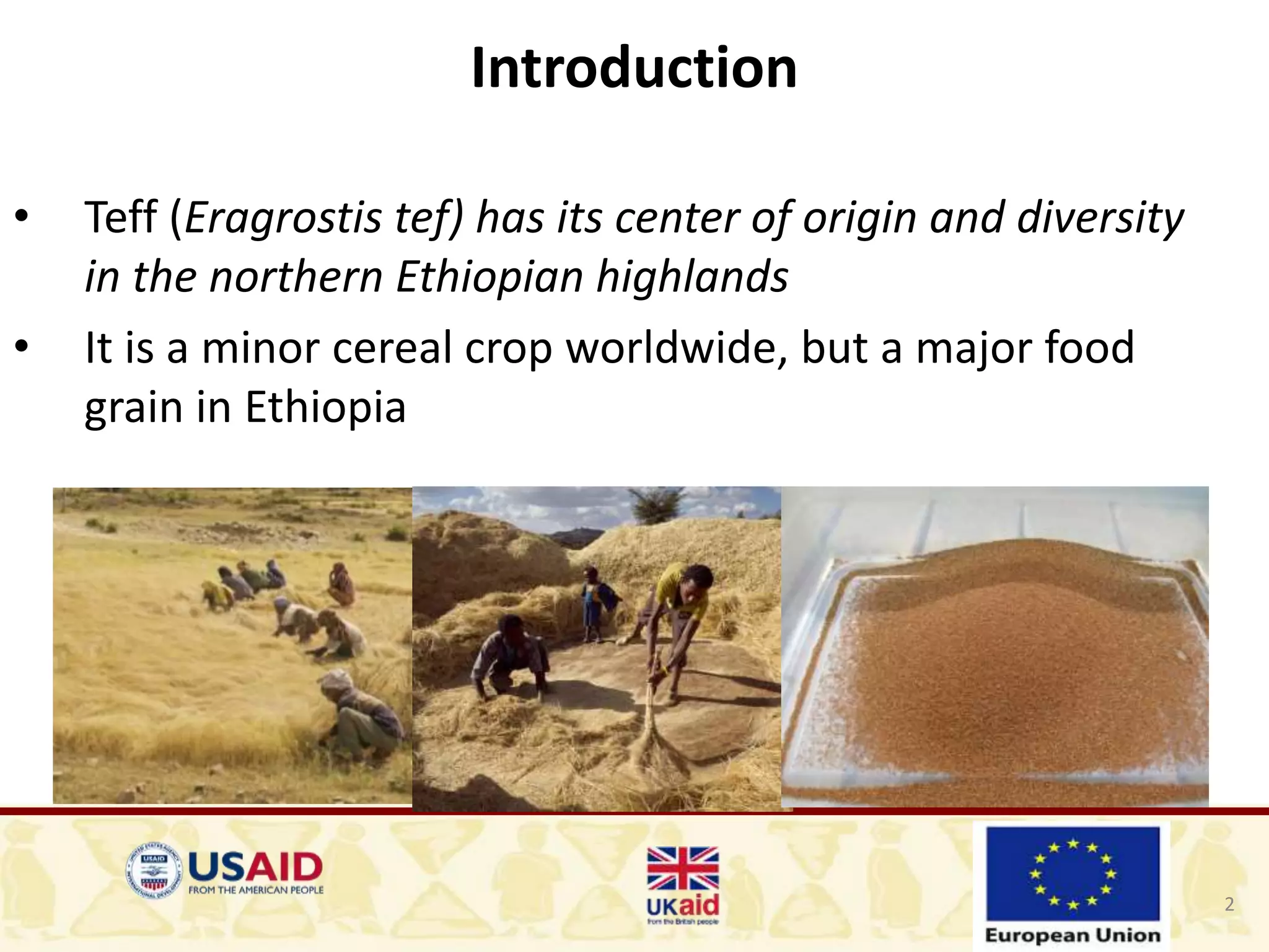Teff: nutrient composition and health benefits | PPT