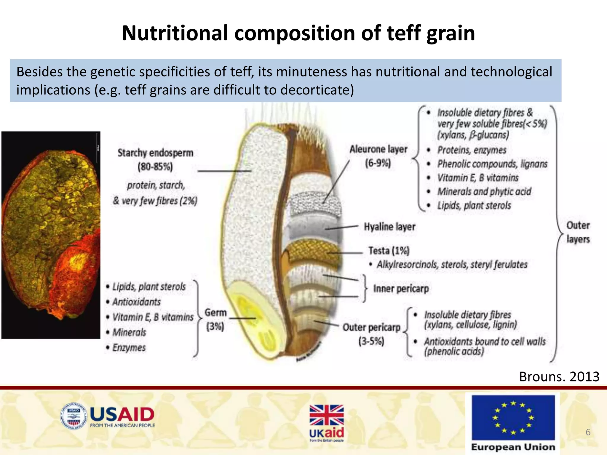 Teff: nutrient composition and health benefits | PPT