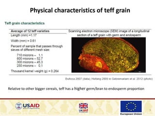 Teff: nutrient composition and health benefits | PPTX