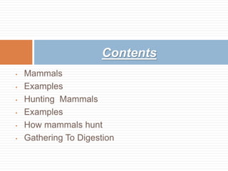 kaleem presentation g.pptx