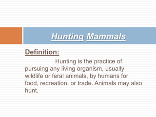 kaleem presentation g.pptx