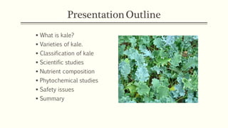 Food as Medicine: Kale | PDF