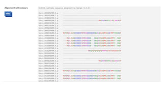 Kalign Bioinformatic tool for Multiple sequence alignment | PPT