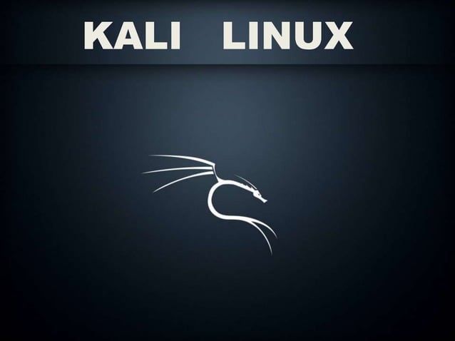 KALI LINUX BY TALHA GORAYA.pptx