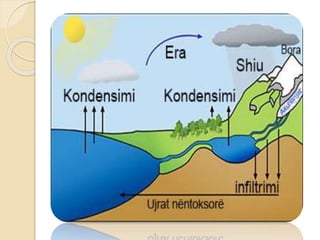 Kalimet fazore Emanuela Manrecaj ,Blerta Markaj | PPT