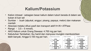 kalium dan fosfor defisiensi dan toksisitas | PPTX