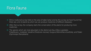 Kallar kahar (presentation) | PPTX