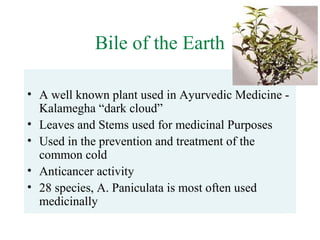 INDIAN AYURVEDA with Kalomegh | PPT