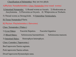 Anthelmintics (antihelminthics) drugs | PPT