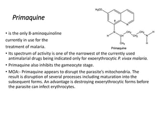 Anti malarial drugs | PPTX